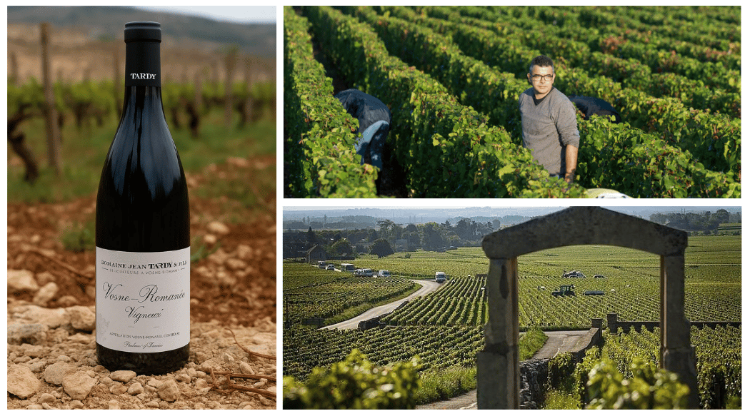 Domaine Jean Tardy: A Vosne-Romanée Artisan – Grape n Grain