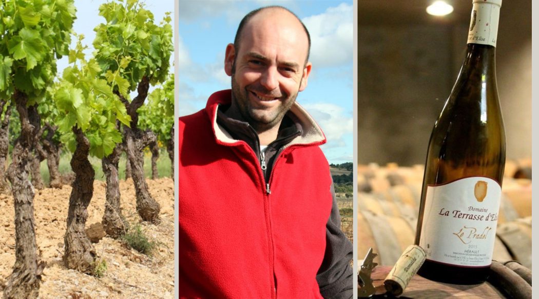 The Artisan Xavier Braujou: Domaine La Terrasse d’Elise – Grape n Grain